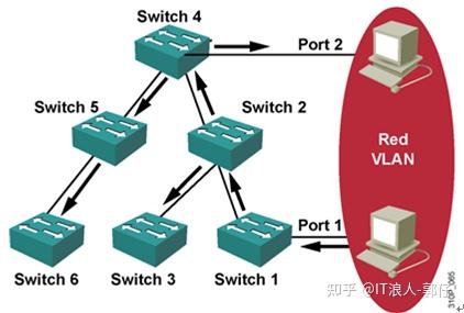 VTP的详解 - 知乎