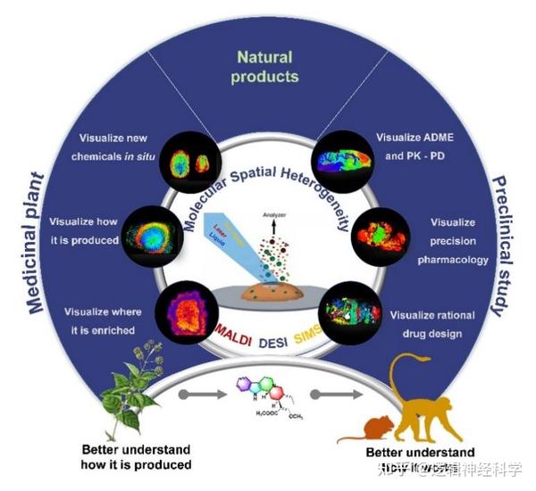 APS 综述︱中国科学院上海药物研究所果德安/吴婉莹团队聚焦天然药物研发中异质性空间分布评述质谱成像技术的作用及研究进展 - 知乎
