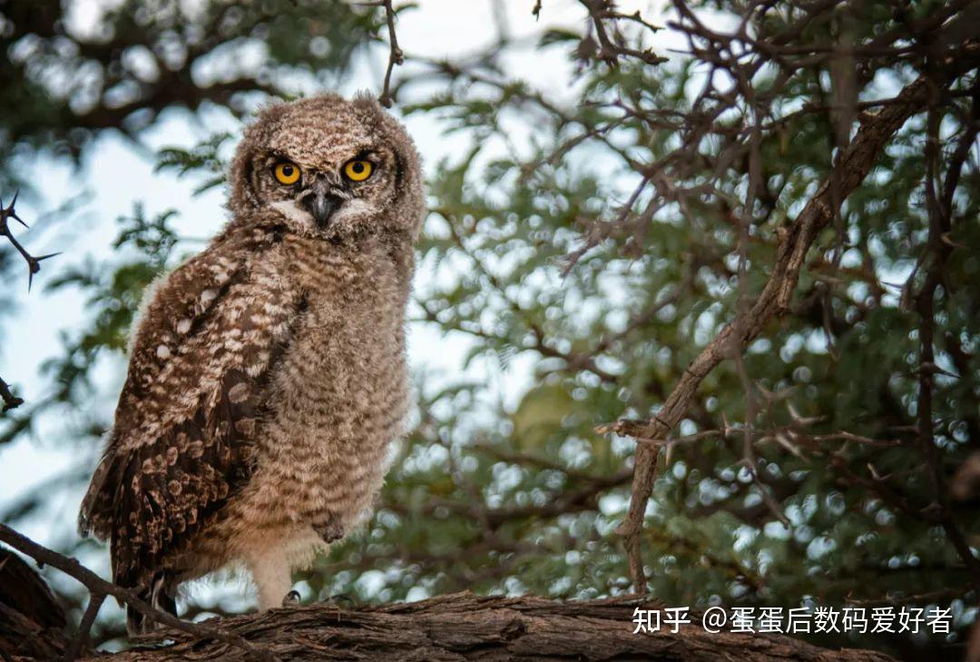 富士GFX100RF与徕卡Q3：我对比了两款顶级便携相机，结果更偏爱哪一款呢？ - 知乎