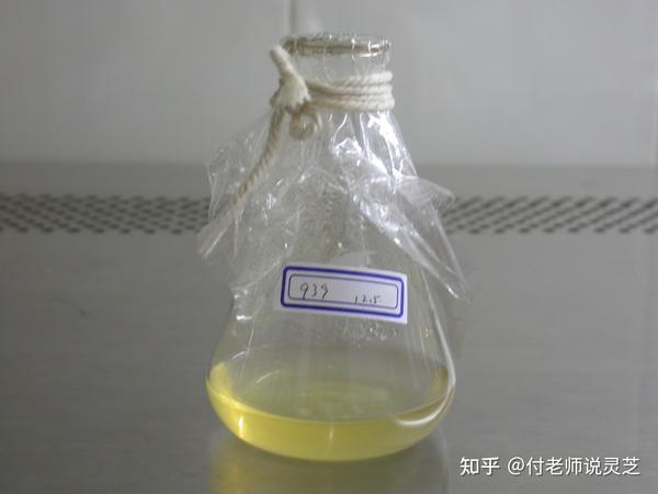 药用菌栽培——发酵培养 - 知乎