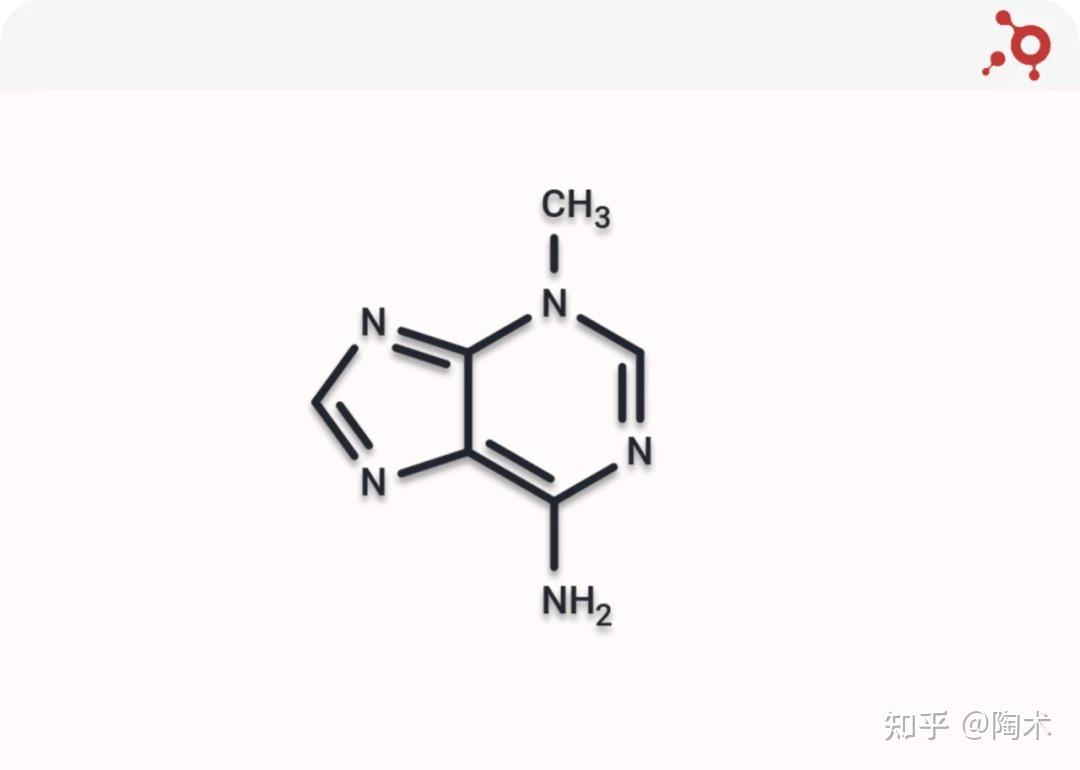 PI3K 抑制剂——3-甲基腺嘌呤 【TargetMol】 - 知乎