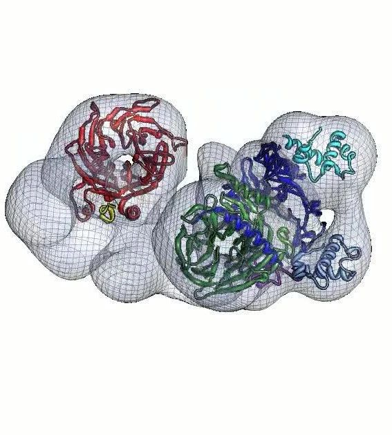 Nat Rev |PcG基因家族在发育和癌症中的作用 - 知乎