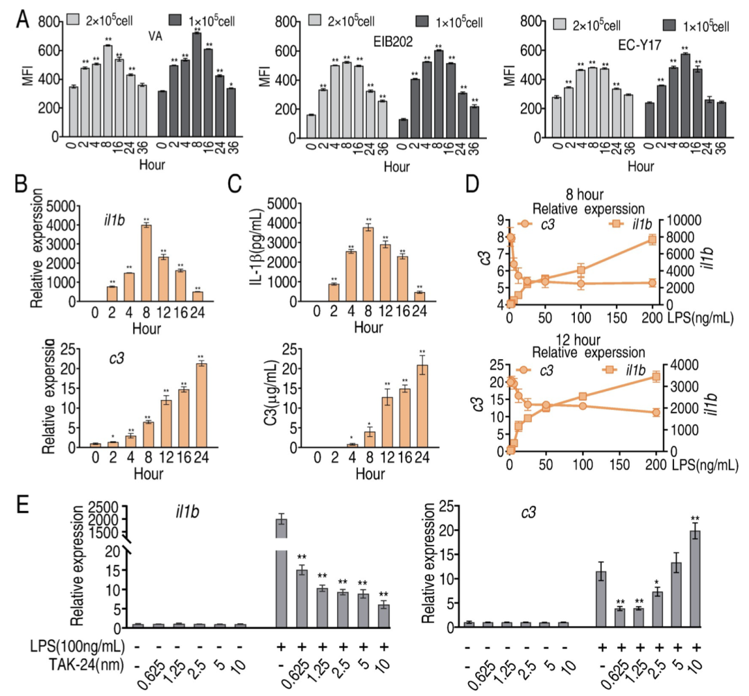 PLOS Pathogens丨琥珀酸和肌苷协调对细菌感染的先天免疫反应 - 知乎