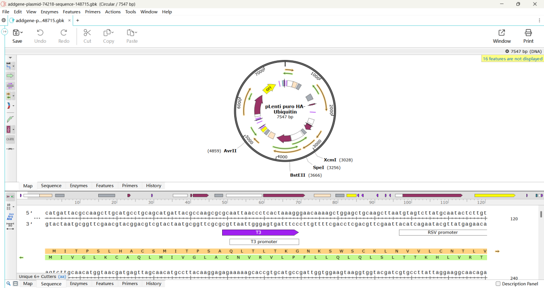 不止SnapGene，鹰谷免费版InSequence序列编辑器，引物设计、序列比对、质粒设计看过来！ - 知乎