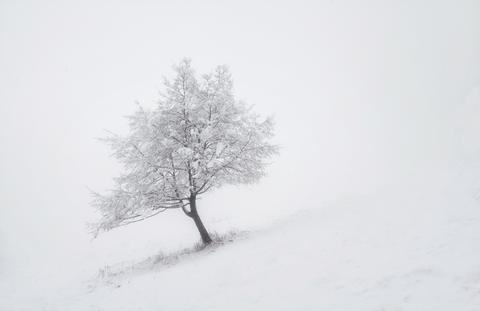 Palabos Tutorial 阅读笔记 | 第二部分整理：UNDERSTANDING THE MULTI-BLOCK STRUCTURE - 知乎