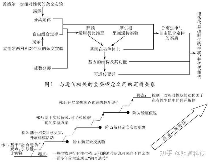基于学习进阶的高中生物概念建模教学策略 知乎 