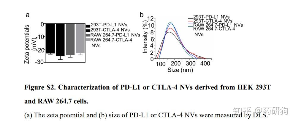 Engineering Programmed PD-L1/CTLA-4 NVs for Immunosuppressive Therapy ...