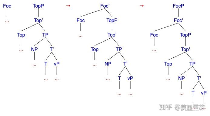 如何画句法学中各种成分的树状图及其对应框状图 - 知乎
