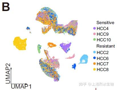 肝癌顶刊 Journal of Hepatology（IF 25.7）发现中性粒细胞与肝细胞癌（HCC）的免疫治疗耐药相关 - 知乎