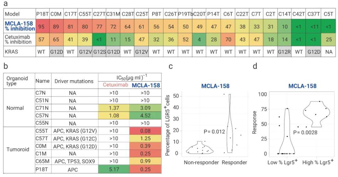 一文读懂 KRAS- MedChemExpress - 知乎