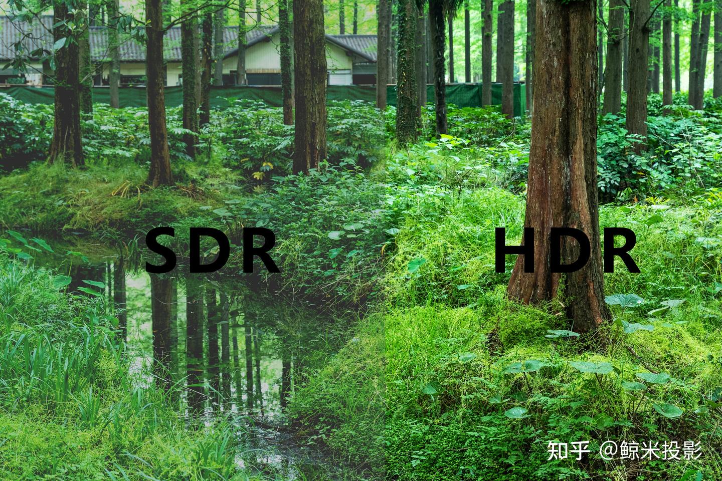 HDR和SDR哪个好，带你了解画面显示技术及其区别 - 知乎