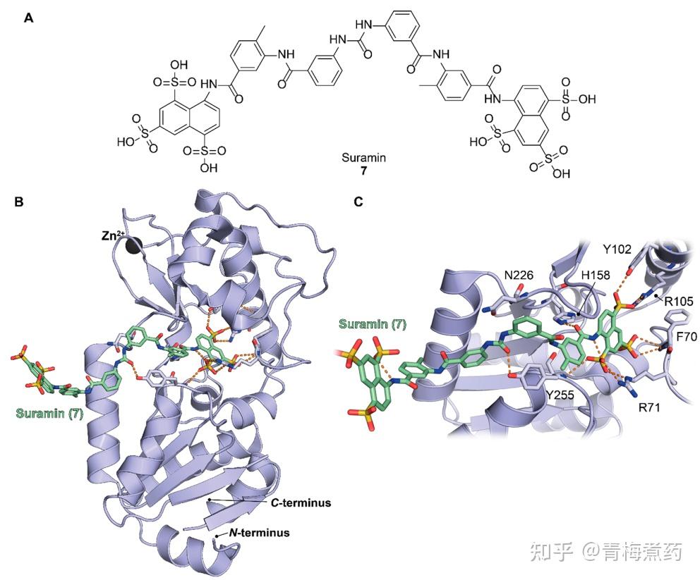 药物发现 | 蛋白质赖氨酸脱酰基酶Sirtuin 5（SIRT5）的治疗潜力和活性调控 - 知乎