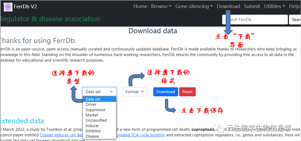 无论如何不能再错过了，FerrDb铁死亡数据库重大升级，1001个调节因子供您选择，附带6+生信文章教会您如何查询和复现思路 - 知乎