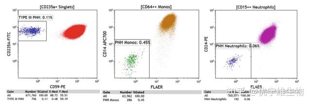 阵发性睡眠性血红蛋白尿(PNH)的免疫表型 - 知乎