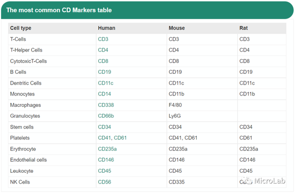 考点笔记丨MHC、HLA、CD分子 - 知乎