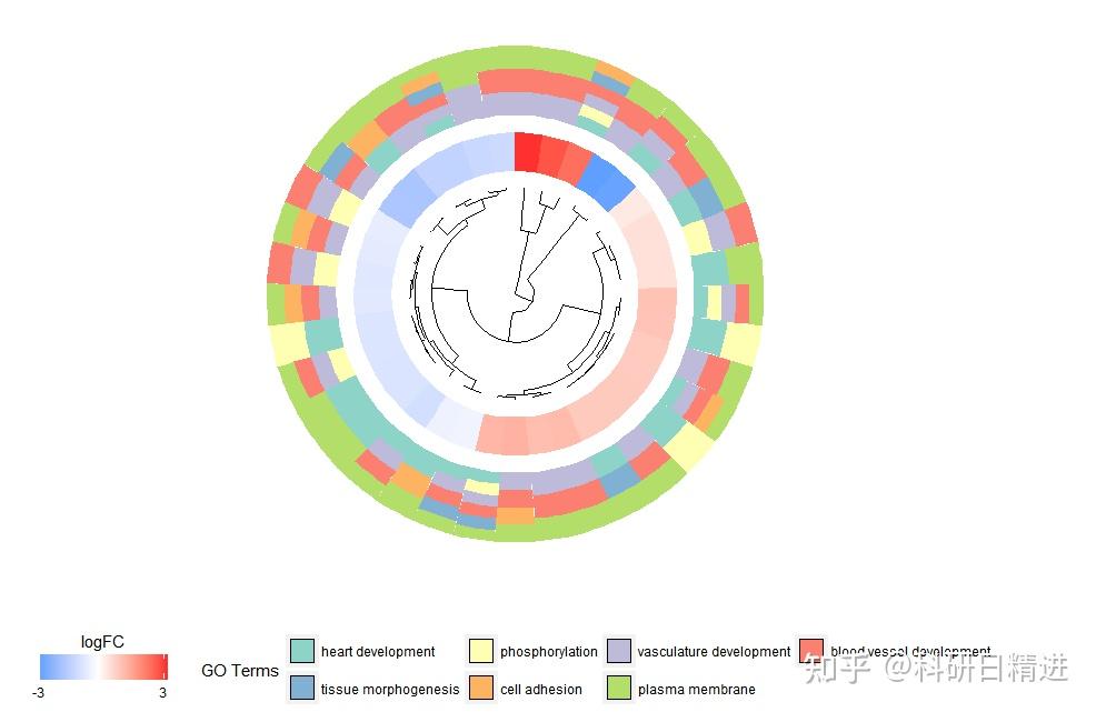 如何使用GOplot画一张精美的GO分析图 - 知乎