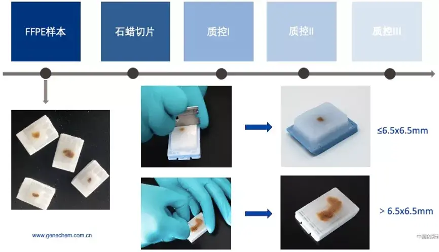 FFPE样本空间转录组实验流程，你想要的细节都在这里了 - 知乎