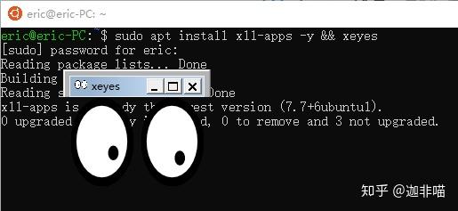 win10+WSL+安装VcXsrv Windows X Server - 知乎