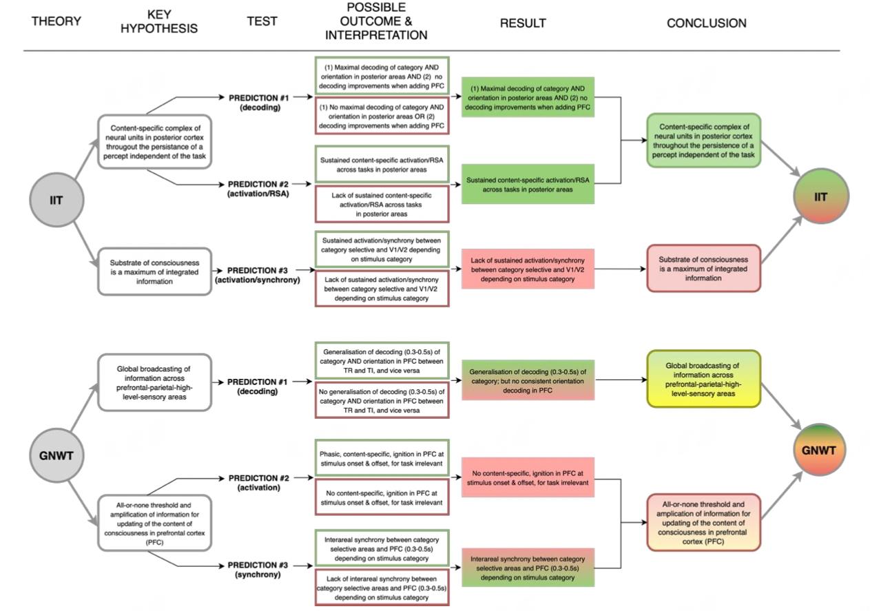 IIT vs GNWT：意识理论对比检验 - 知乎