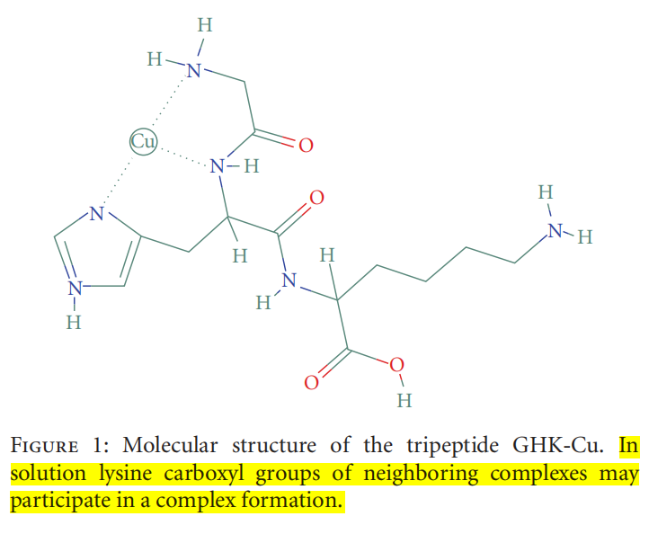 皮肤活性多肽中的“爱马仕”——蓝铜肽 - 知乎