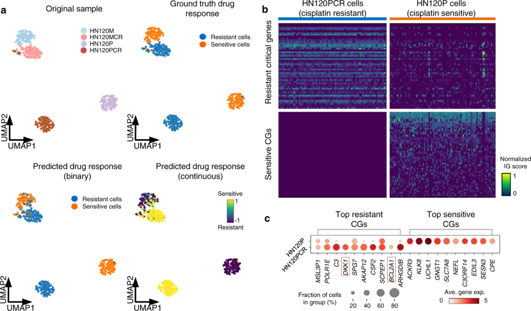 Nat. Commun. | scDEAL：通过整合bulk和单细胞RNA-seq数据预测癌症药物反应的深度迁移学习框架 - 知乎