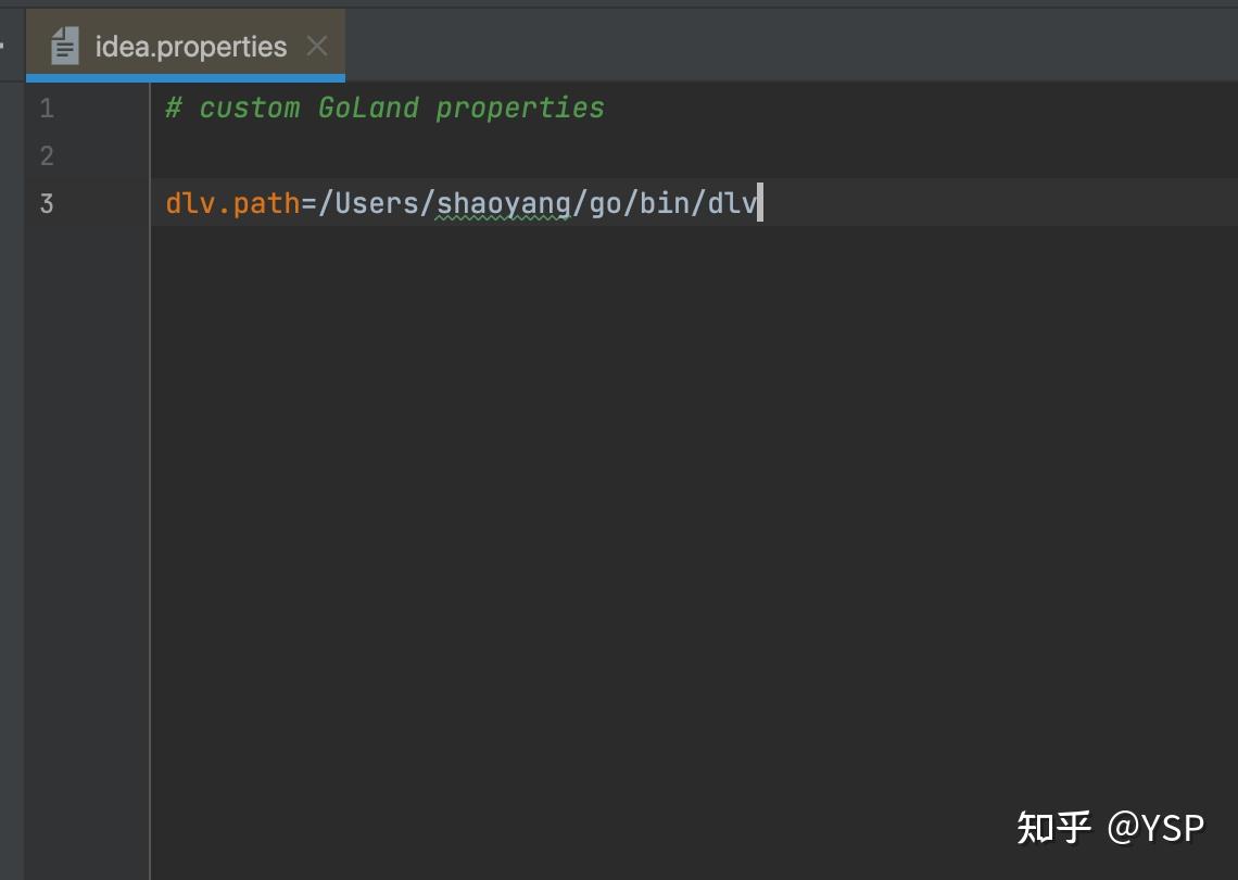 Goland修改IDE本身bundle的golang debugger - 知乎