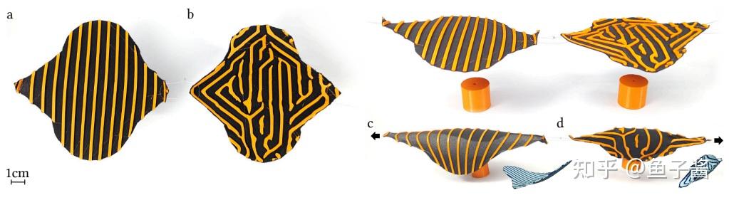 SIGGRAPH 2023 最佳论文公布！进来看图形领域最高水平作品 - 知乎