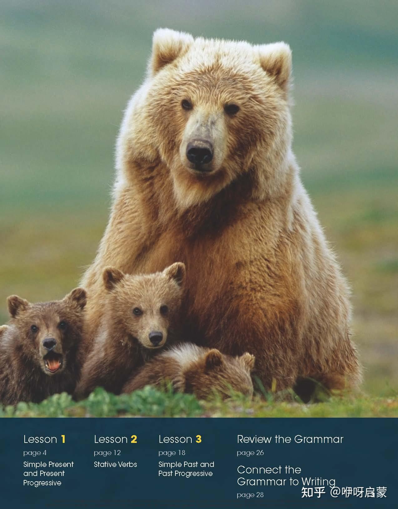 Grammar Explorer 初中高中英文语法专项教材 - 知乎