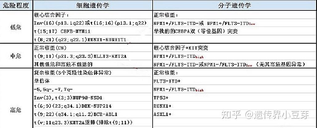 从细胞分子学的角度看AML - 知乎