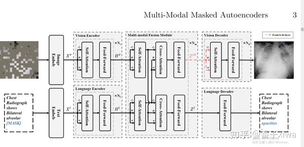 M3AE for modical pre-training - 知乎