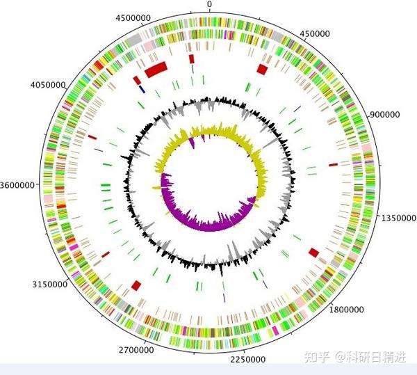 用DNAPlotter画基因组图，so easy - 知乎