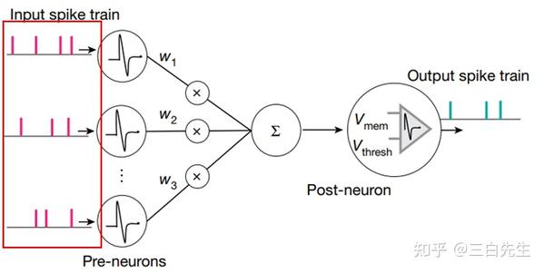 浅浅浅谈SNN - 知乎