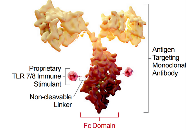 TLR激动剂助力新一代ADC药物研发 - 知乎