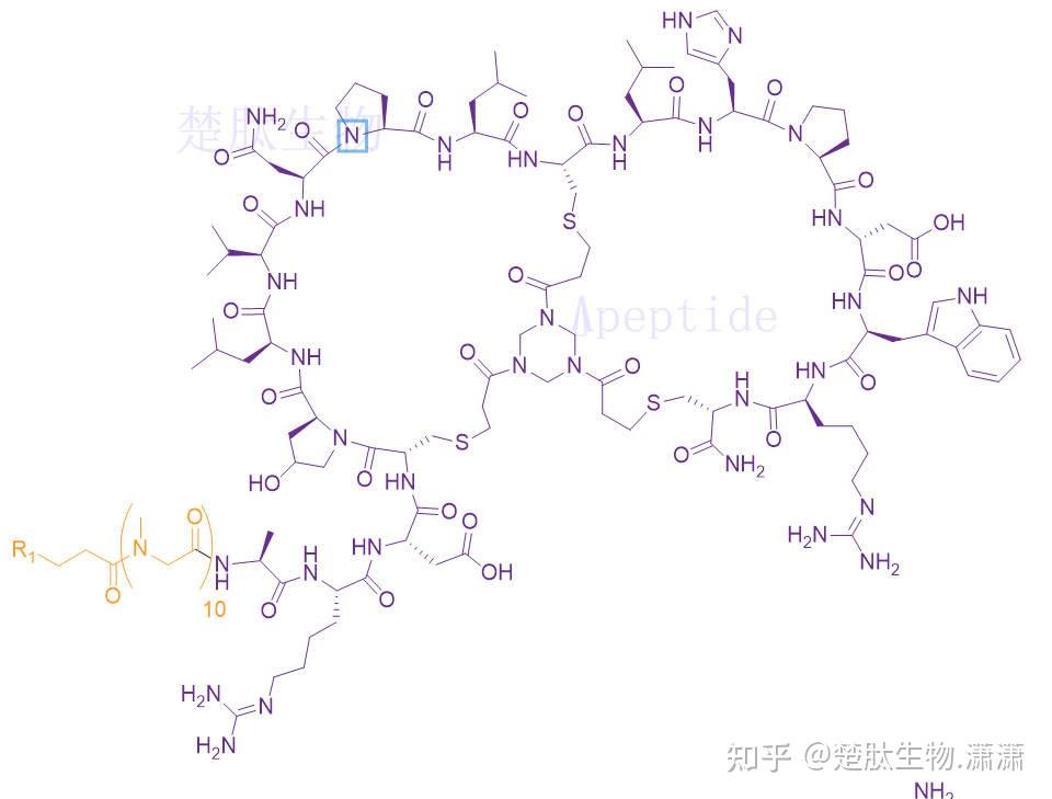 BT5528；双环肽-毒素偶联；2648849-70-9；A型肝配蛋白受体-2（EphA2） 激活剂 - 知乎