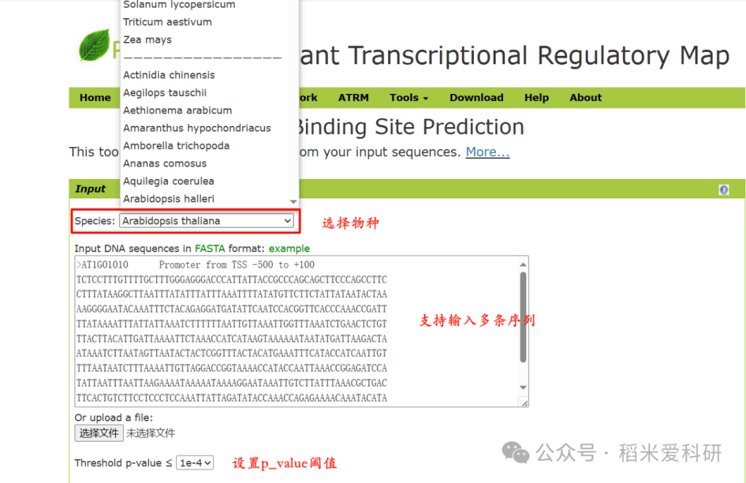 PlantRegMap-植物转录调控分析数据库 - 知乎