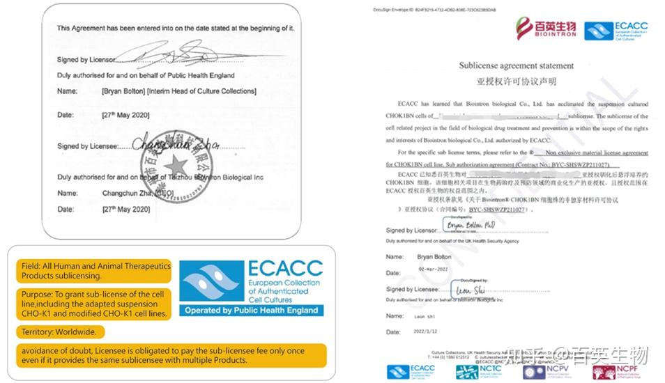 全球商业化亚授权的CHOK1BN宿主细胞，保证您申报无忧 - 知乎