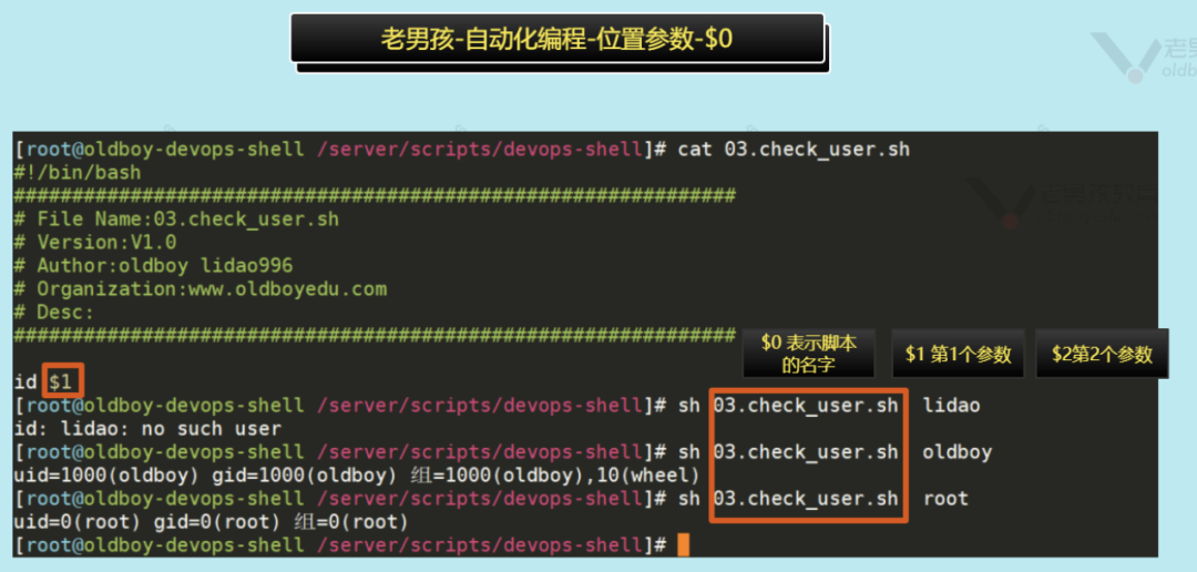从理论到实战，一份详实的Shell脚本教程，值得收藏！ - 知乎