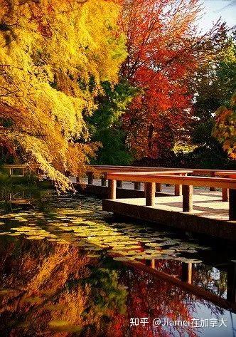 十月赏枫季｜加拿大绝美枫叶景色大盘点！ - 知乎