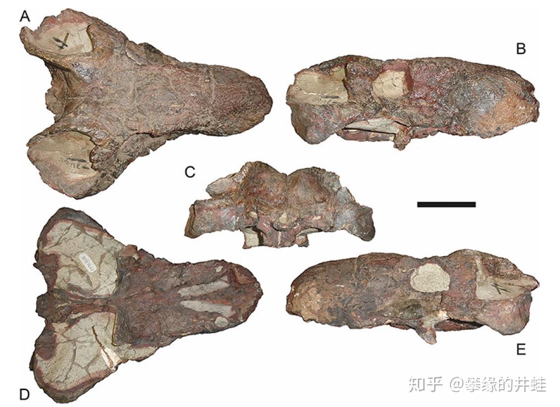 【地球演义】百兽图6：惊饕餮 - 知乎