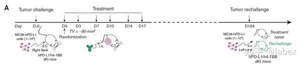 多因子检测金标准V-plex 标志物筛选重磅案例《Cancer Discovery》影响因子：39.3 - 知乎