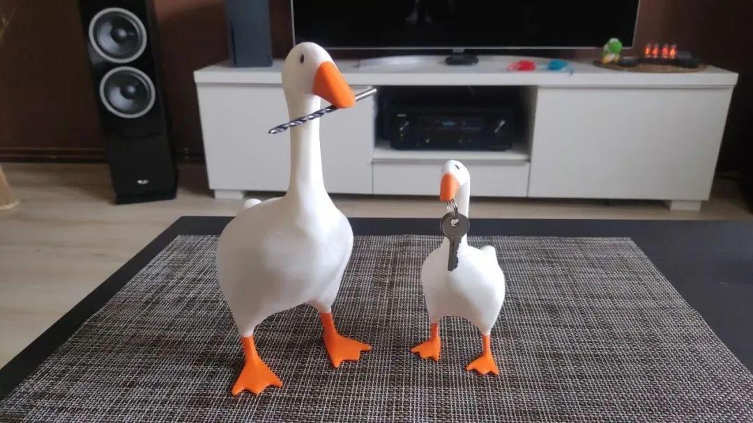 15款——3D打印动物模型 - 知乎