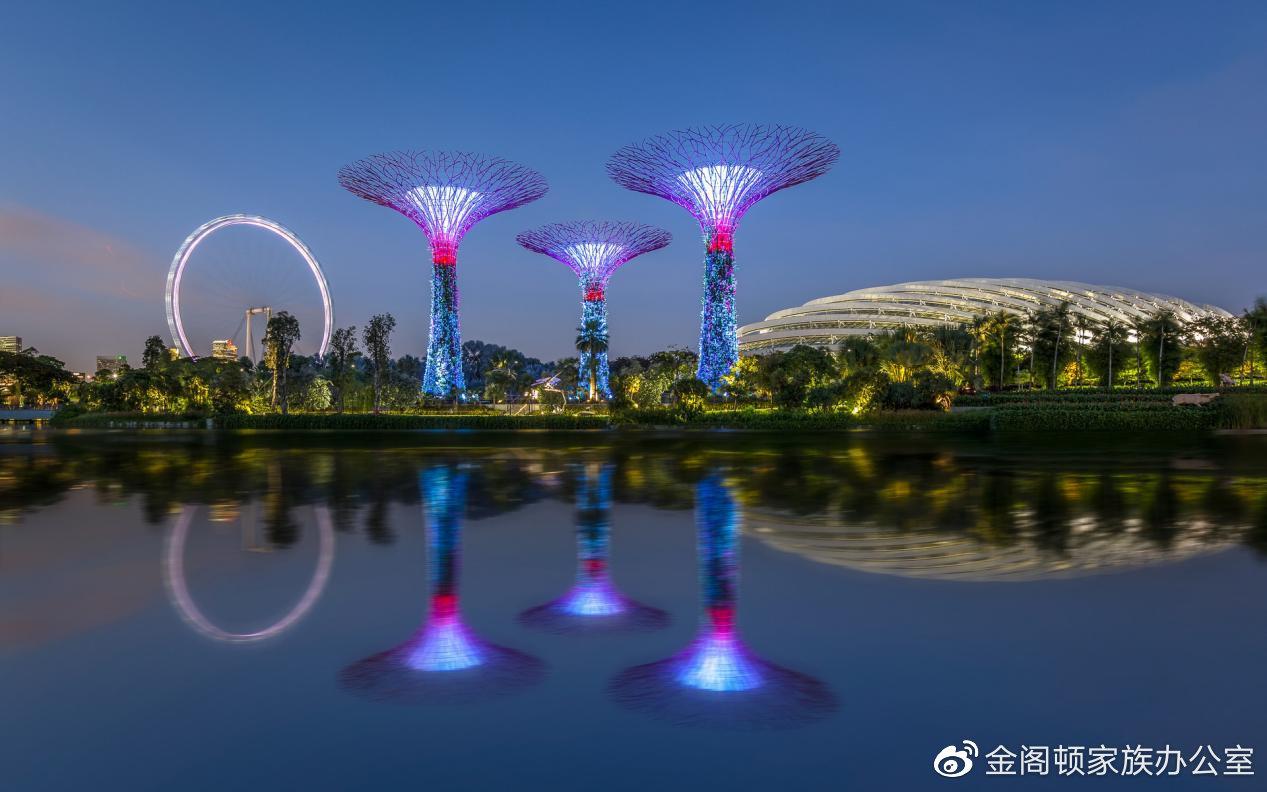 【基金架构篇】新加坡可变资本公司VCC（下）外资企业如何落地为VCC - 知乎
