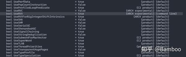 启用OpenJDK20的RVV特性 - 知乎