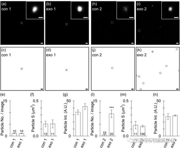 文献解读：一个表格让你全懂PKH标记外泌体！ - 知乎