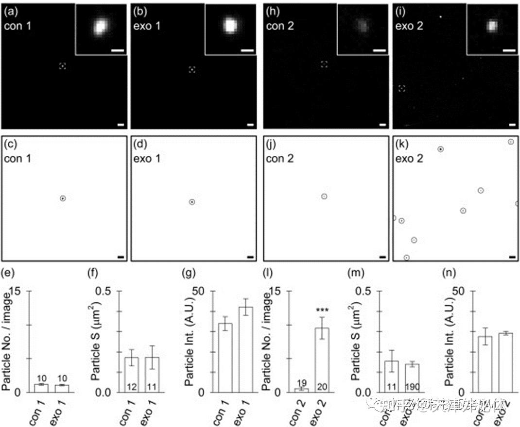 文献解读：一个表格让你全懂PKH标记外泌体！ - 知乎