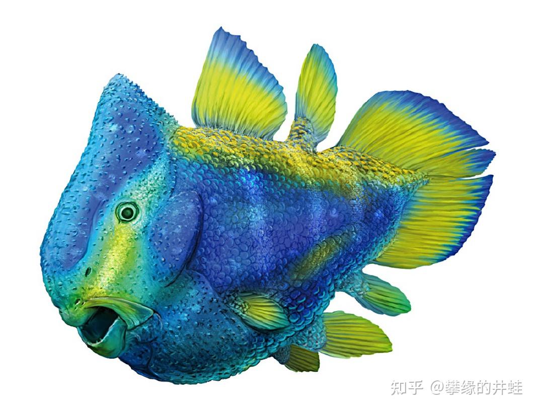 【地球演义】第二百七十九回 锦鳞记8：谁云涸辙困波臣 - 知乎