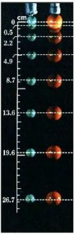 高中物理必修一·自由落体运动 - 知乎
