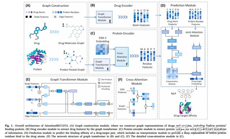 论文笔记6|AttentionMGT-DTA A multi-modal drug-target affinity prediction using graph transformer ...