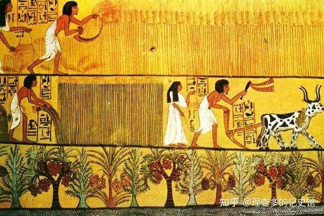 古埃及的成就 - 知乎