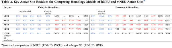 J. Med. Chem. | 神经氨酸酶（NA）——结构和病理